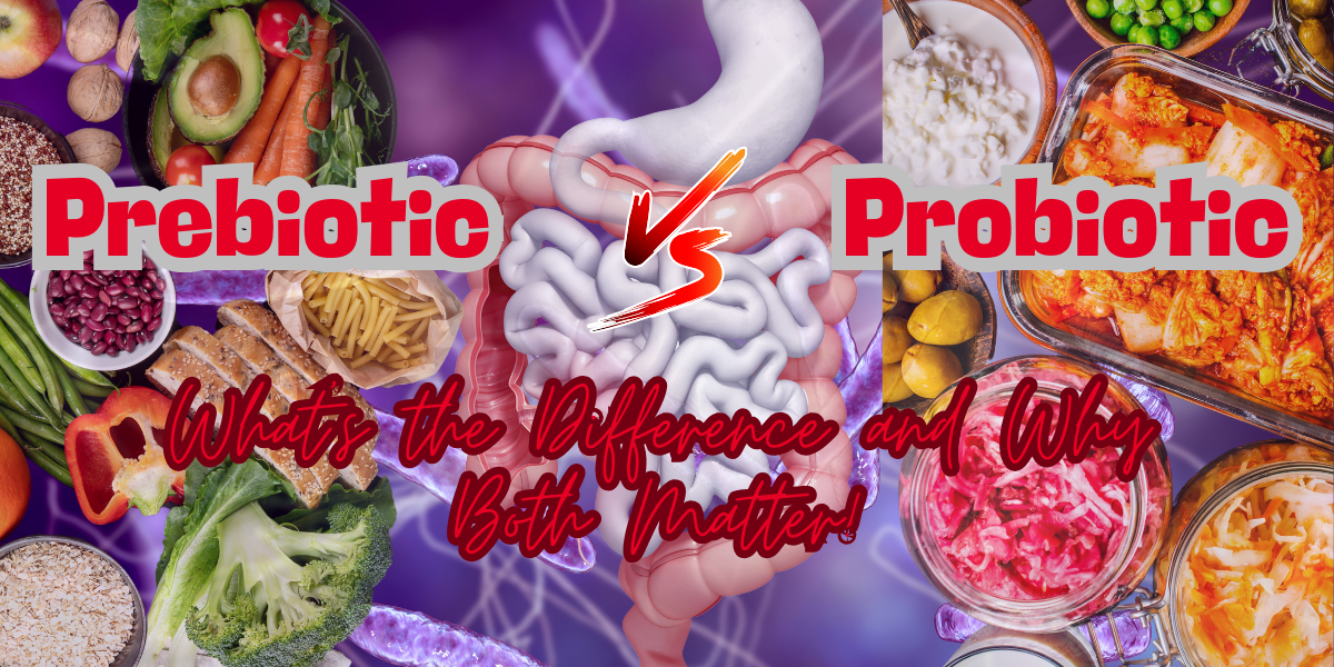 Prebiotic vs. Probiotic: What's the Difference and Why Both Matter! - Start with Fiber